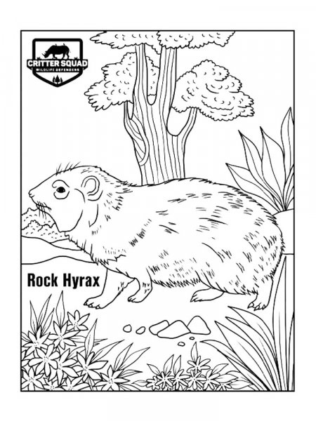 Hyrax coloring pages