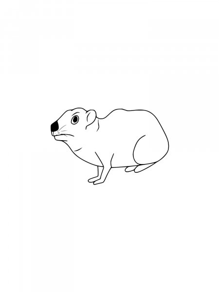 Hyrax coloring pages