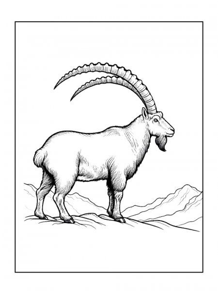 Ibex coloring pages