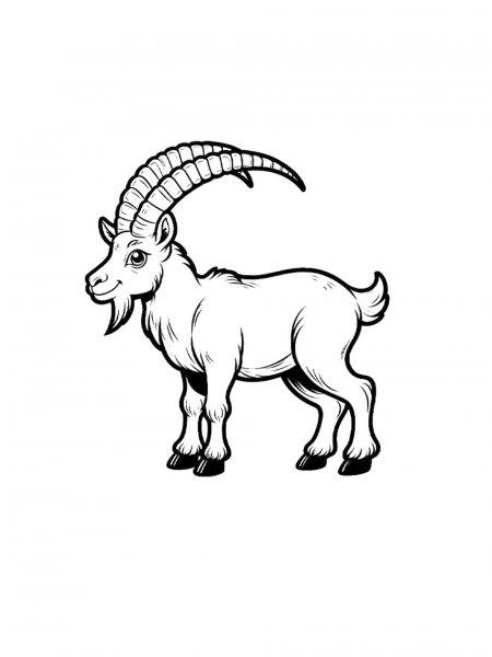 Ibex coloring pages