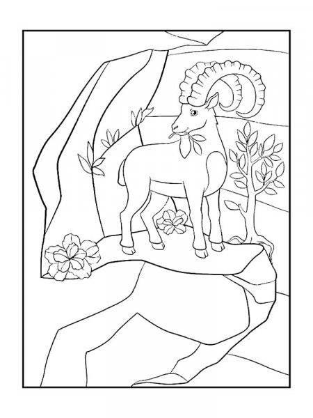 Ibex coloring pages