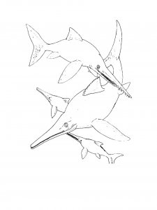 Ichthyosaur coloring pages