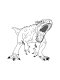 Indoraptor coloring pages