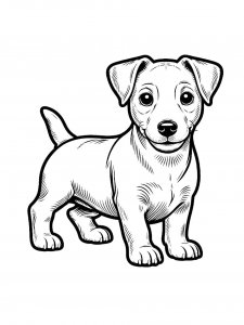 Jack Russell Terrier coloring pages