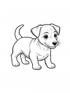 Jack Russell Terrier coloring pages