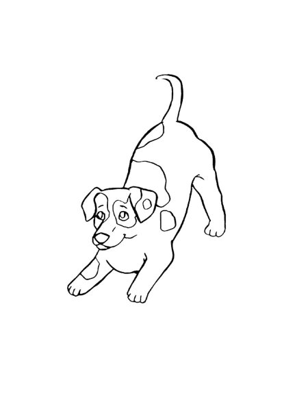 Jack Russell Terrier coloring pages