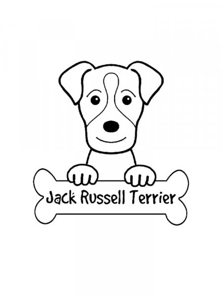 Jack Russell Terrier coloring pages