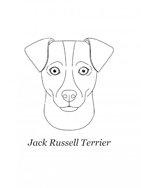 Jack Russell Terrier coloring pages