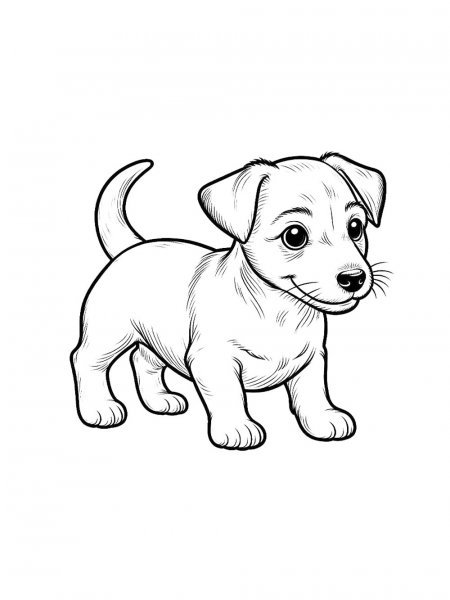 Jack Russell Terrier coloring pages
