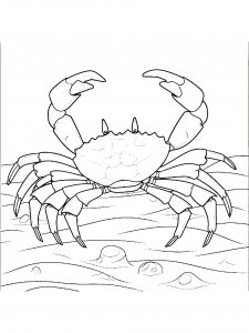 King Crab coloring pages