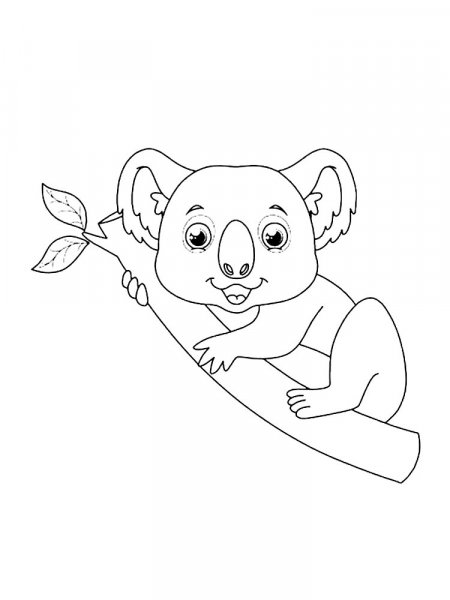 Koala coloring pages