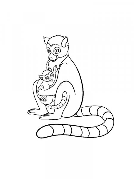 Lemur coloring pages
