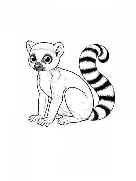Lemur coloring pages