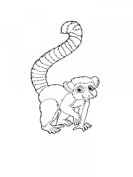 Lemur coloring pages