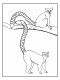 Lemur coloring pages