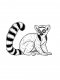 Lemur coloring pages