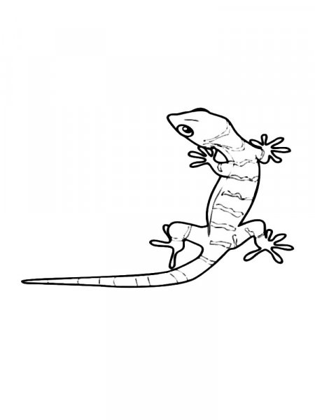 Lizard coloring pages