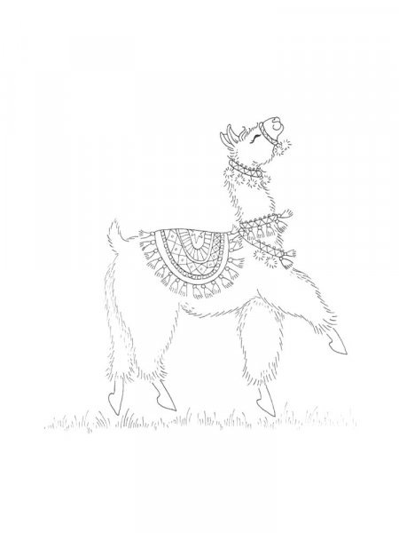 Llama coloring pages