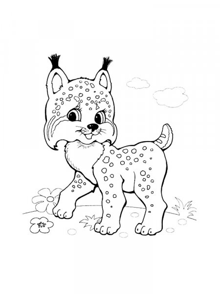 Lynx coloring pages