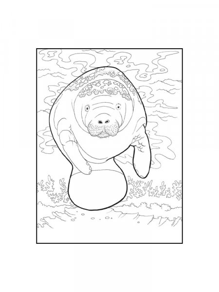 Manatee coloring pages