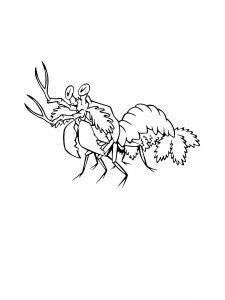 Mantis Shrimp coloring pages