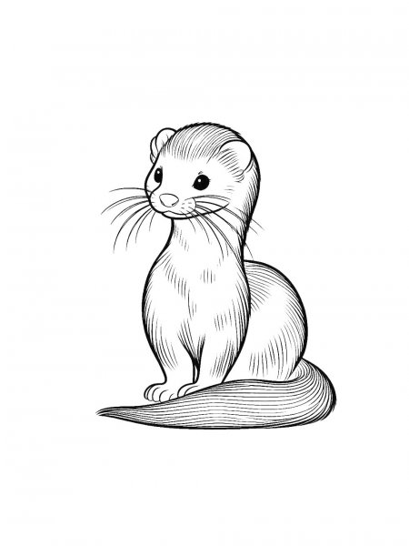 Mink coloring pages