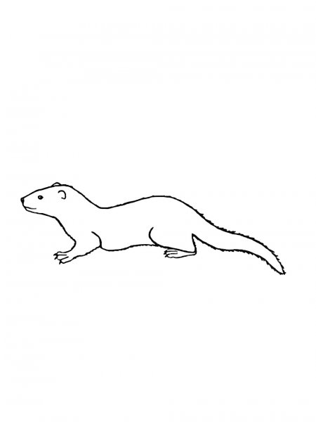 Mink coloring pages
