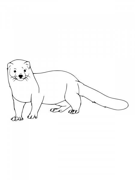Mink coloring pages