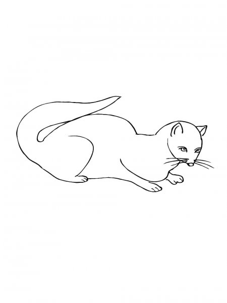 Mongoose coloring pages