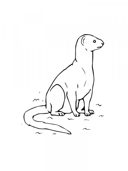 Mongoose coloring pages