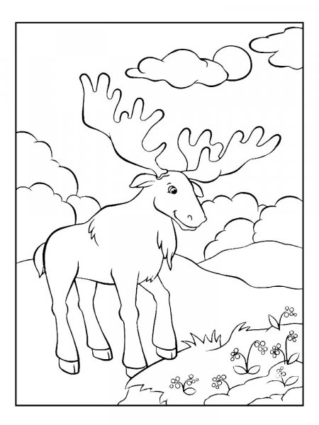 Moose Coloring Pages (Free Printables for Kids)