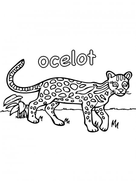 Ocelot coloring pages