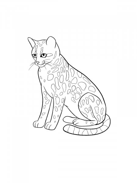 Ocelot coloring pages