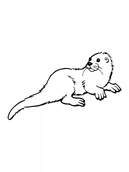 Otter coloring pages