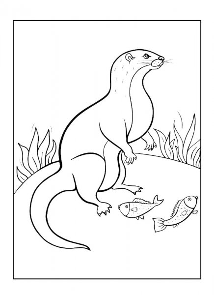 Otter coloring pages