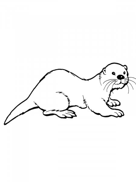 Otter coloring pages