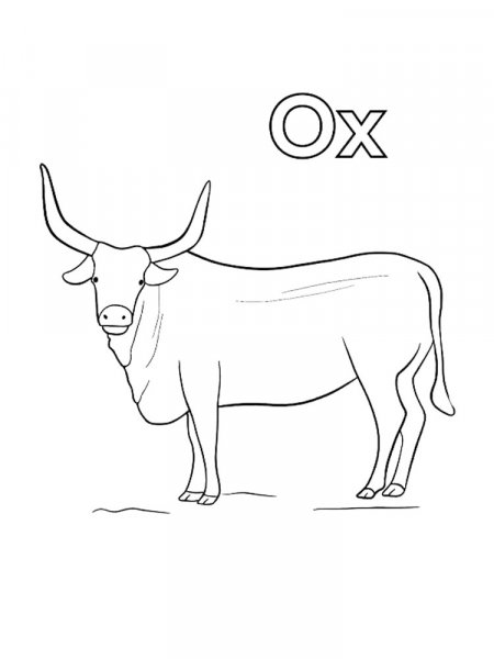 Ox coloring pages