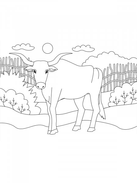 Ox coloring pages