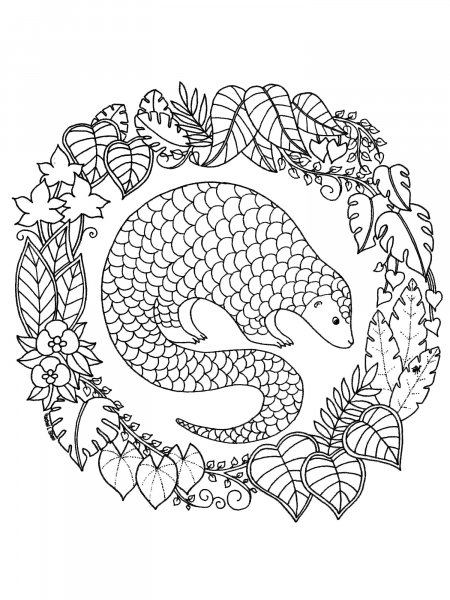 Pangolin coloring pages