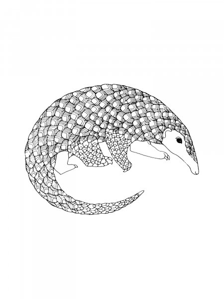 Pangolin coloring pages