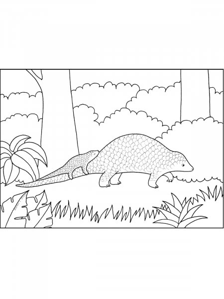 Pangolin coloring pages
