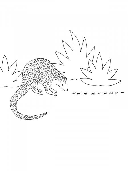 Pangolin coloring pages