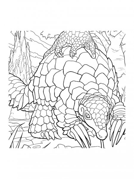 Pangolin coloring pages