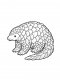 Pangolin coloring pages