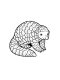Pangolin coloring pages