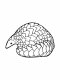 Pangolin coloring pages