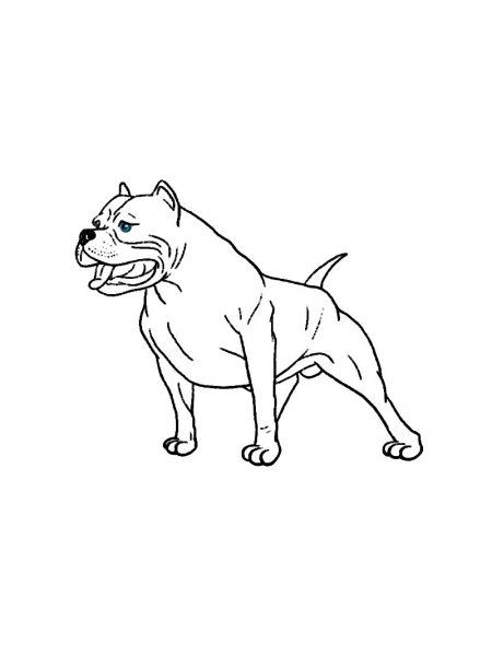 Pitbull coloring pages