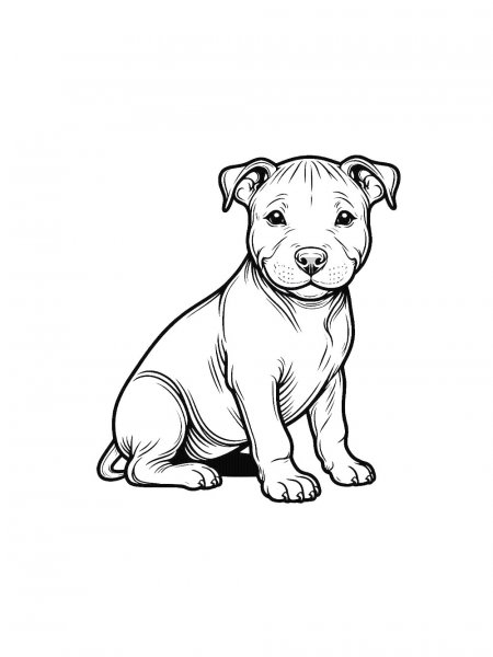Pitbull Coloring Pages (Free Printables for Kids)