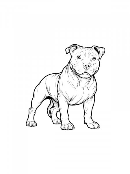 Pitbull Coloring Pages (Free Printables for Kids)