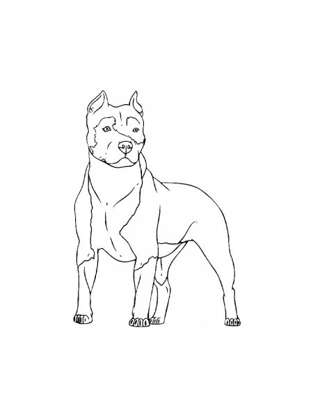 Pitbull Coloring Pages (Free Printables for Kids)